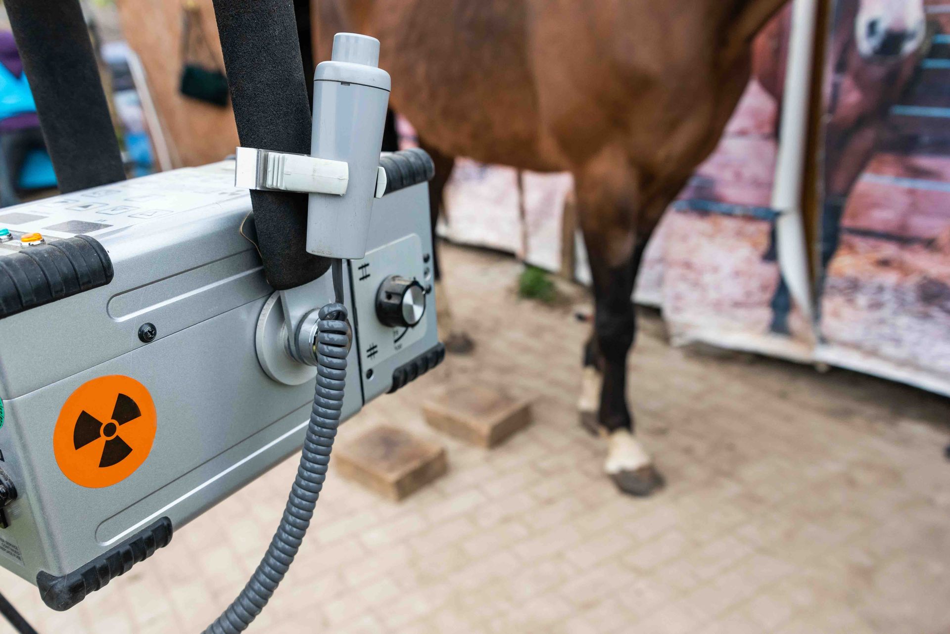 Ensuring Radiation Safety: | vets