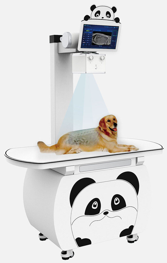 DR Solutions for Small Animal Veterinary Practices